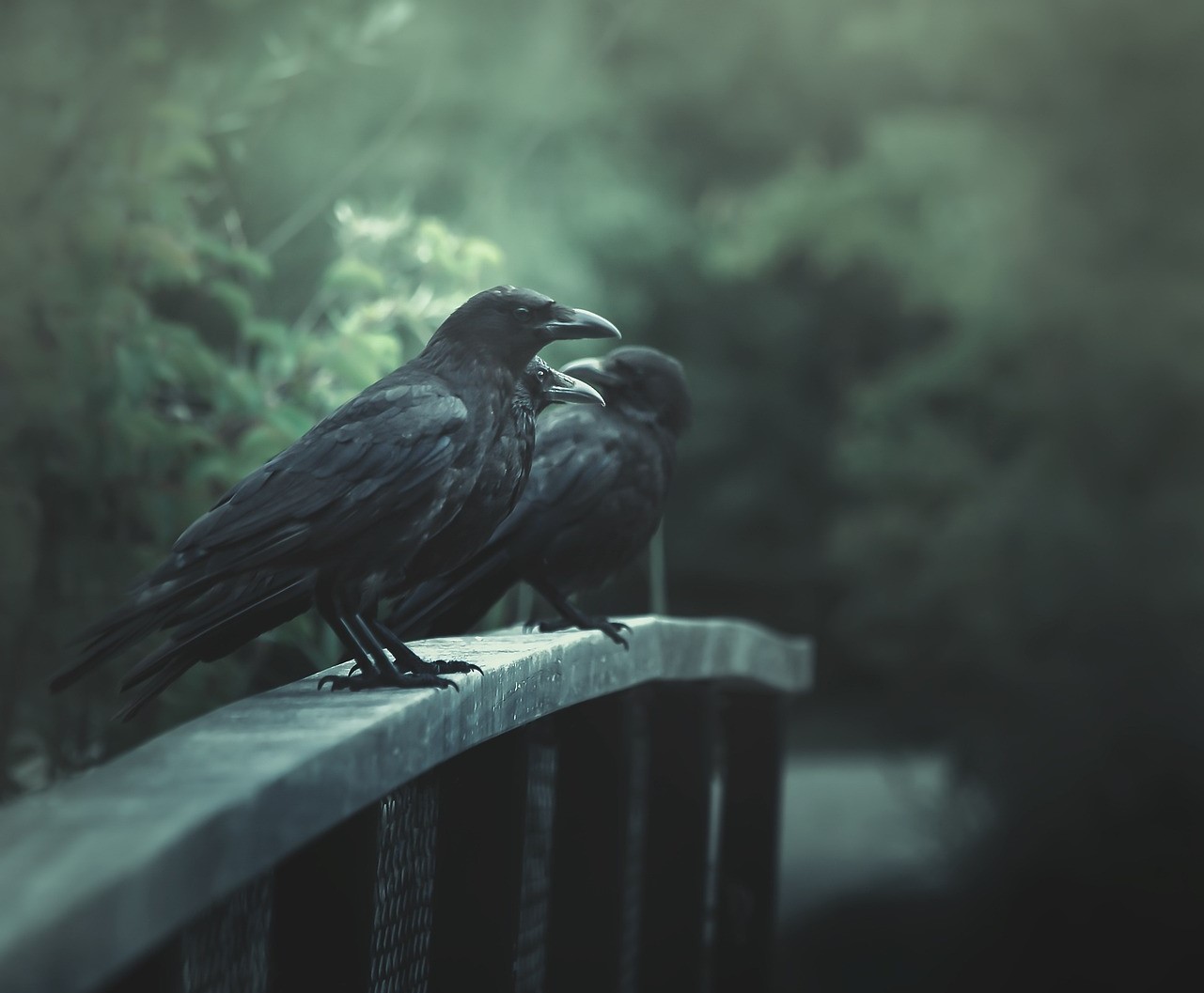 The Raven's Mantle – Exploring Life. Walking the Mysteries. Playing in ...